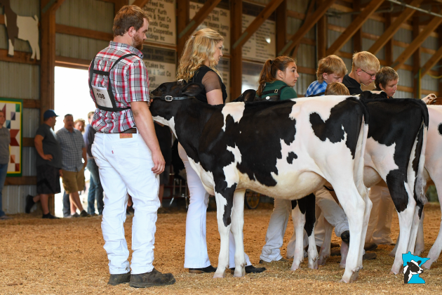 2023 Minnesota State Holstein Show Results - Minnesota Holstein Association